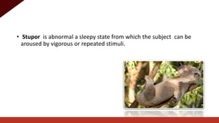 Approach to coma | PPTX