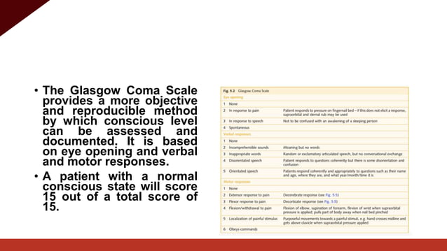 Approach to coma | PPTX