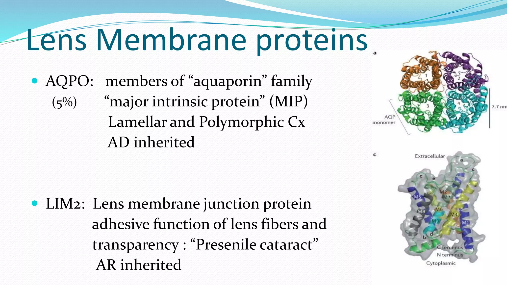 approach to congenital cataract.pptx