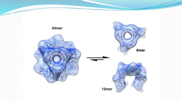 approach to congenital cataract.pptx