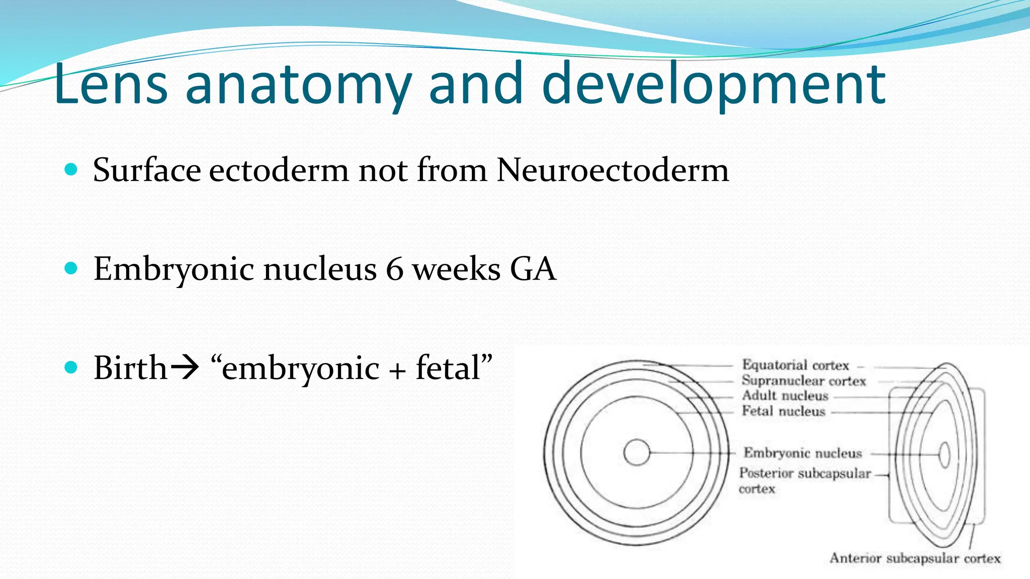An approach to congenital cataract genetic based | PPTX