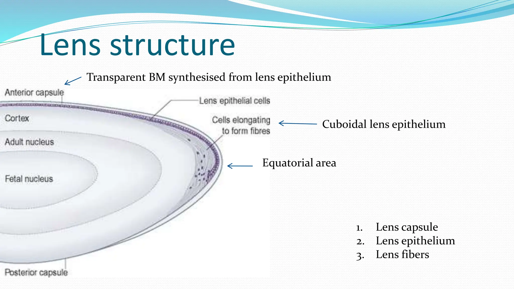 An approach to congenital cataract genetic based | PPTX