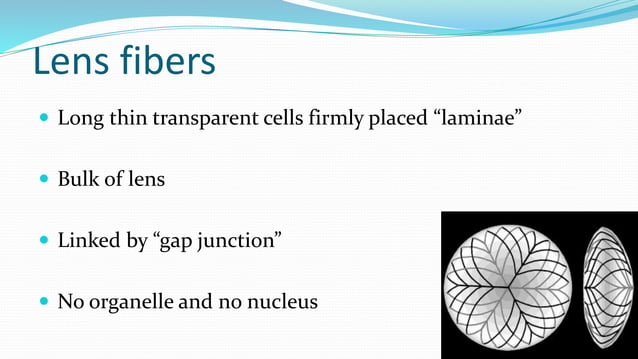 An approach to congenital cataract genetic based | PPT