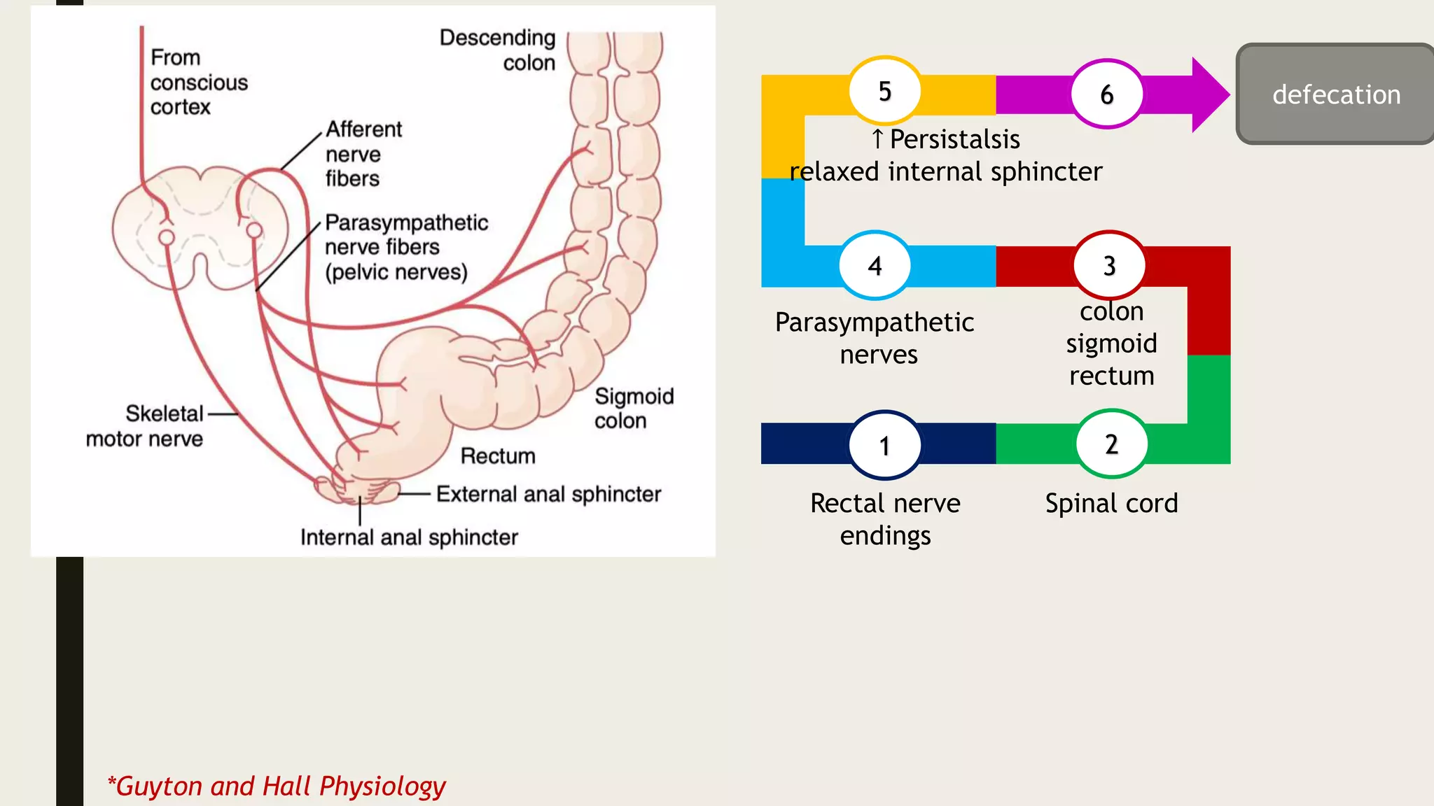 Approach to constipation.pptx