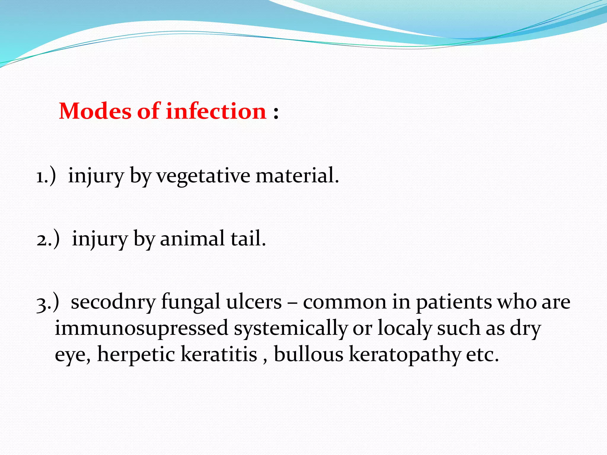 APPROACH TO CORNEAL ULCER.pptx