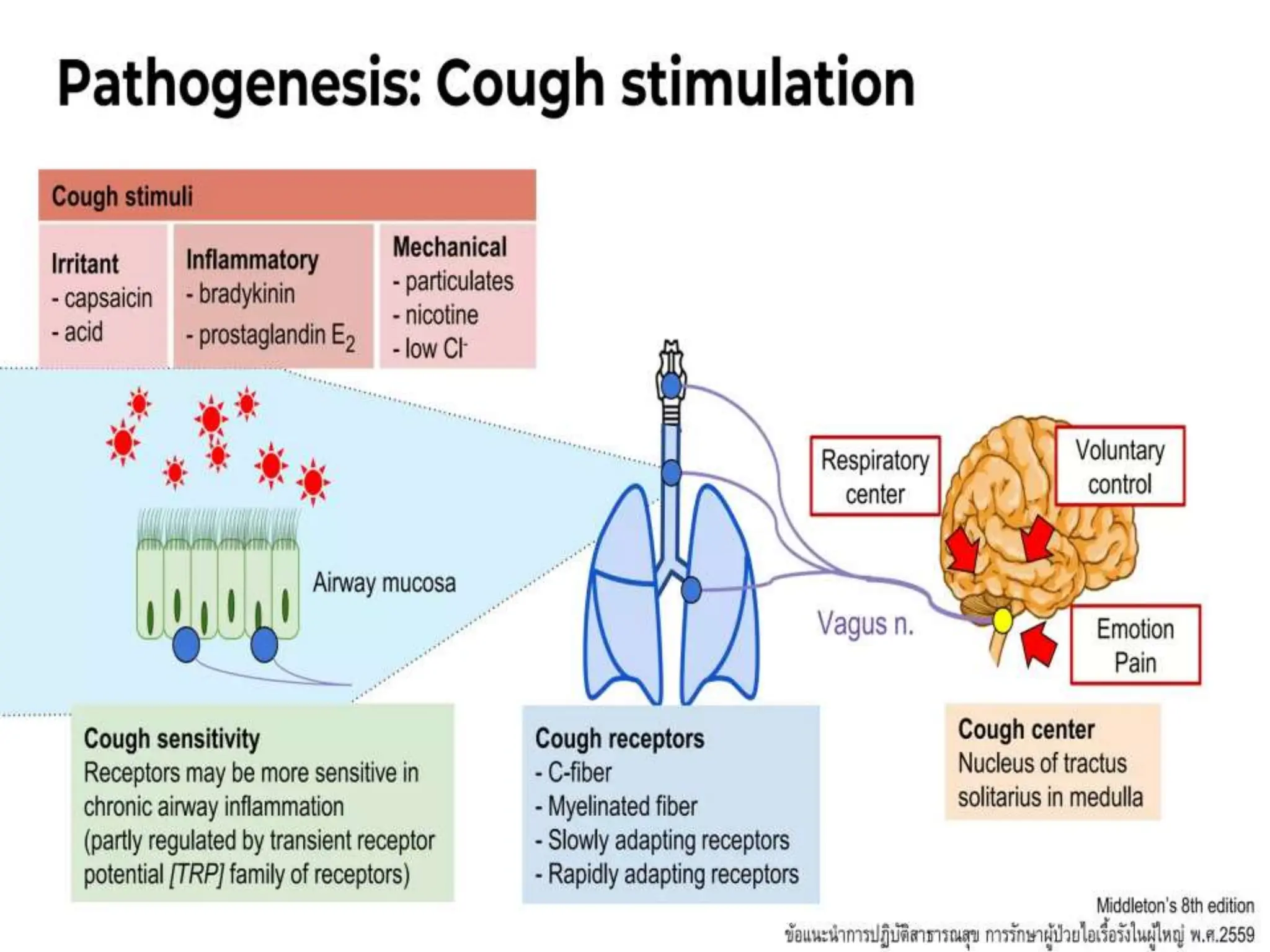 APPROACH TO COUGH.pptx