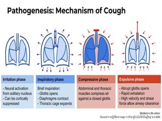 APPROACH TO COUGH.pptx
