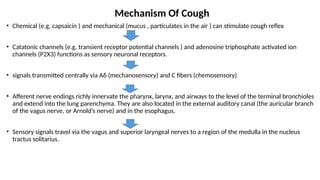 Approach To Cough.pptx for internal medicine | PPTX