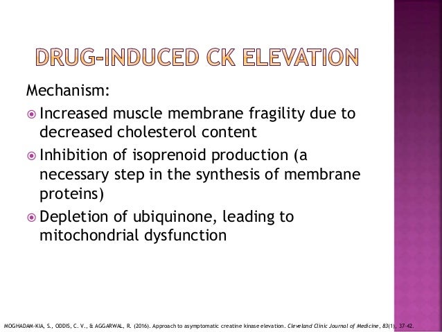 Approach to Creatine Kinase Elevation