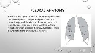 Approach to cxr.pptx