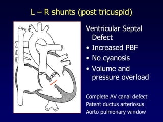 Approach to cyanotic congenital heart disease | PPTX