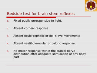 Approach to deceased donor transplantation | PPT | Brain and Nervous ...