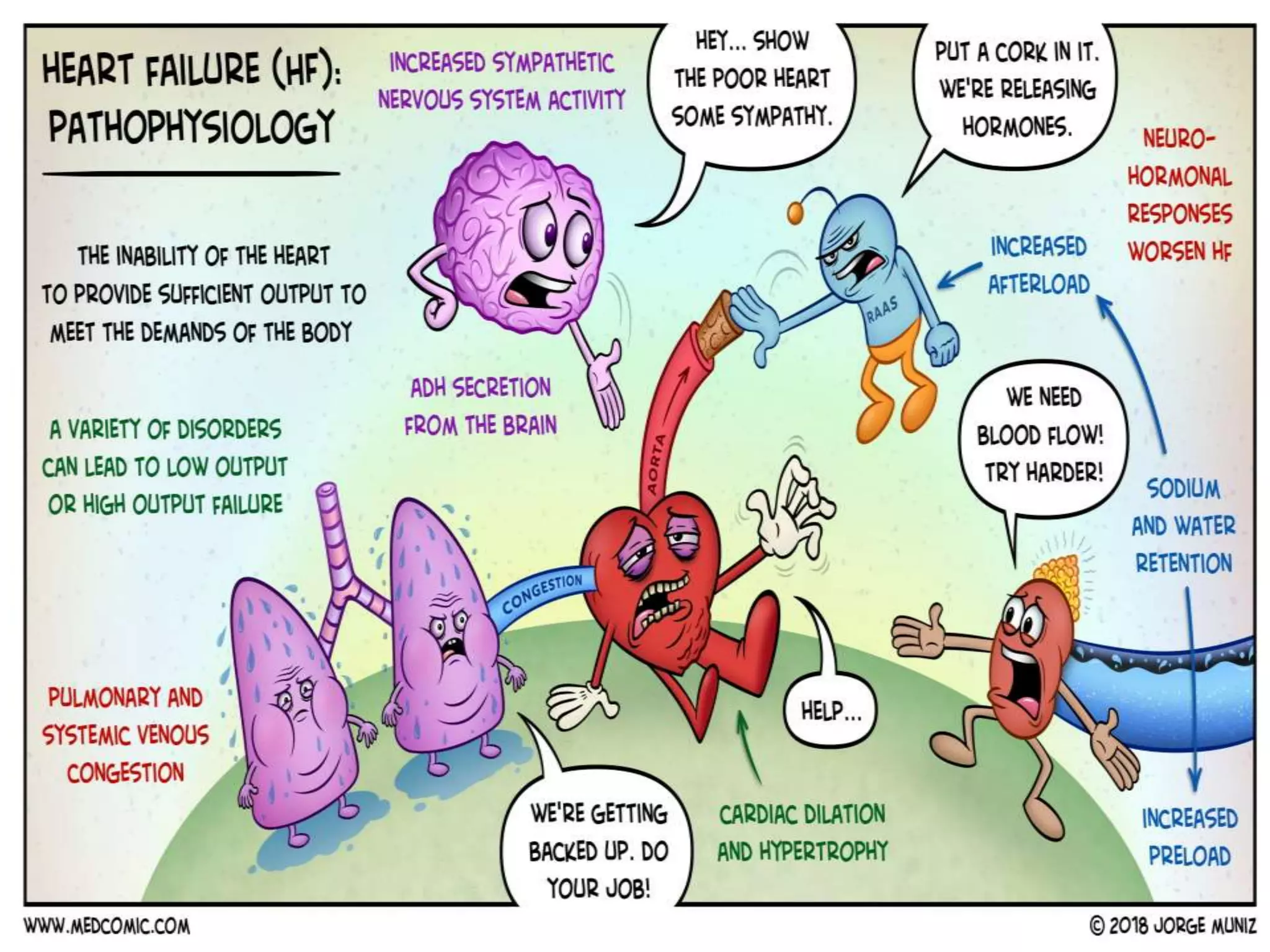 Decompansated heart failure | PPTX