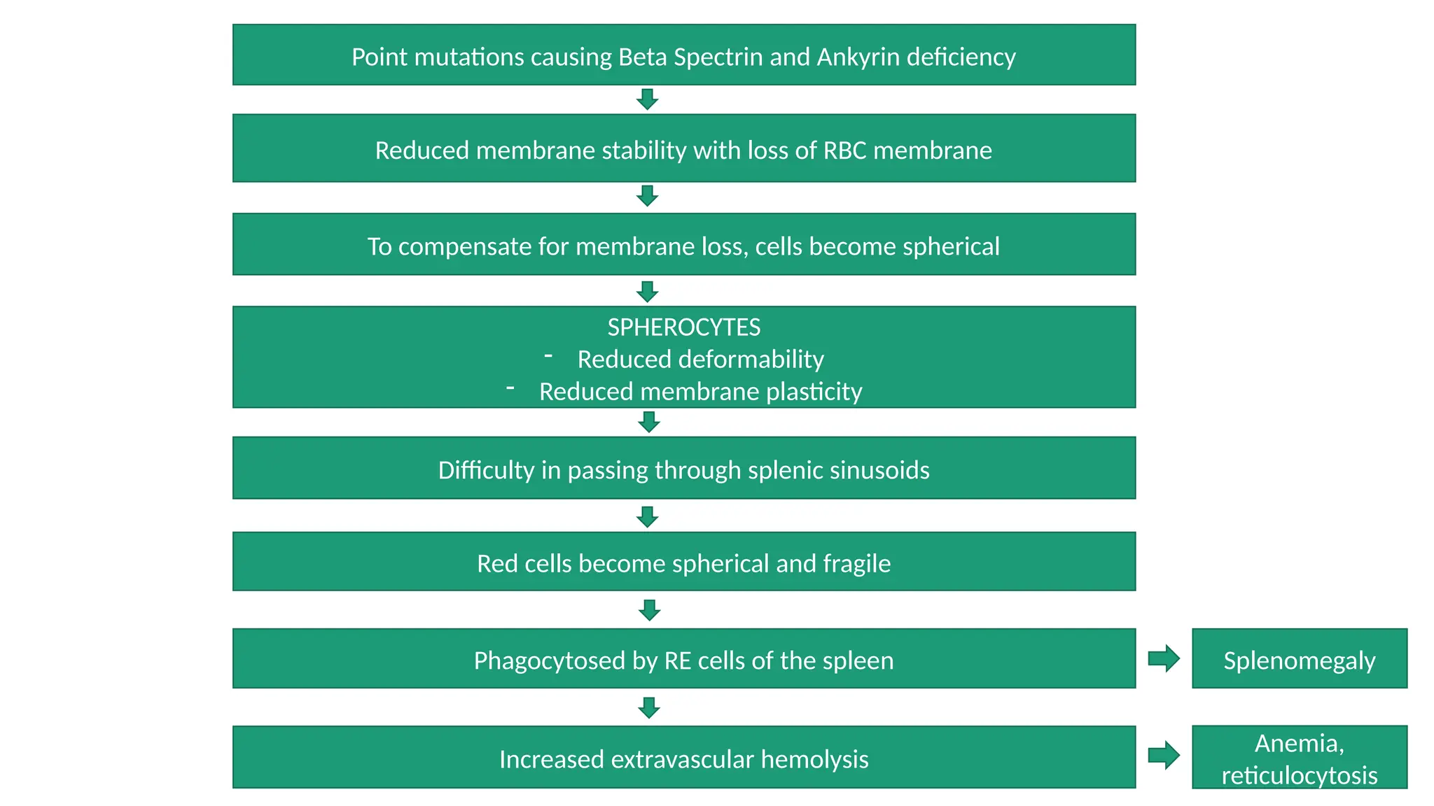 Approach to diagnosis of hemolytic anemia.pptx