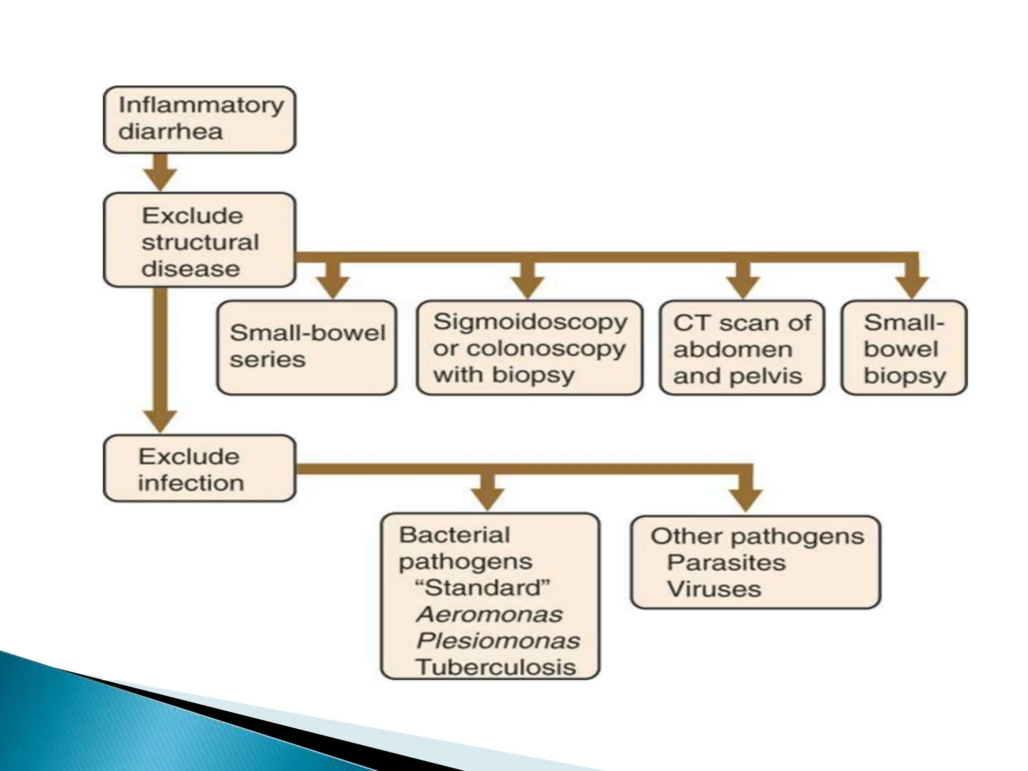 Approach to diarrhea 3rd yr mbbs ppt.pptx | Digestive Disorders ...