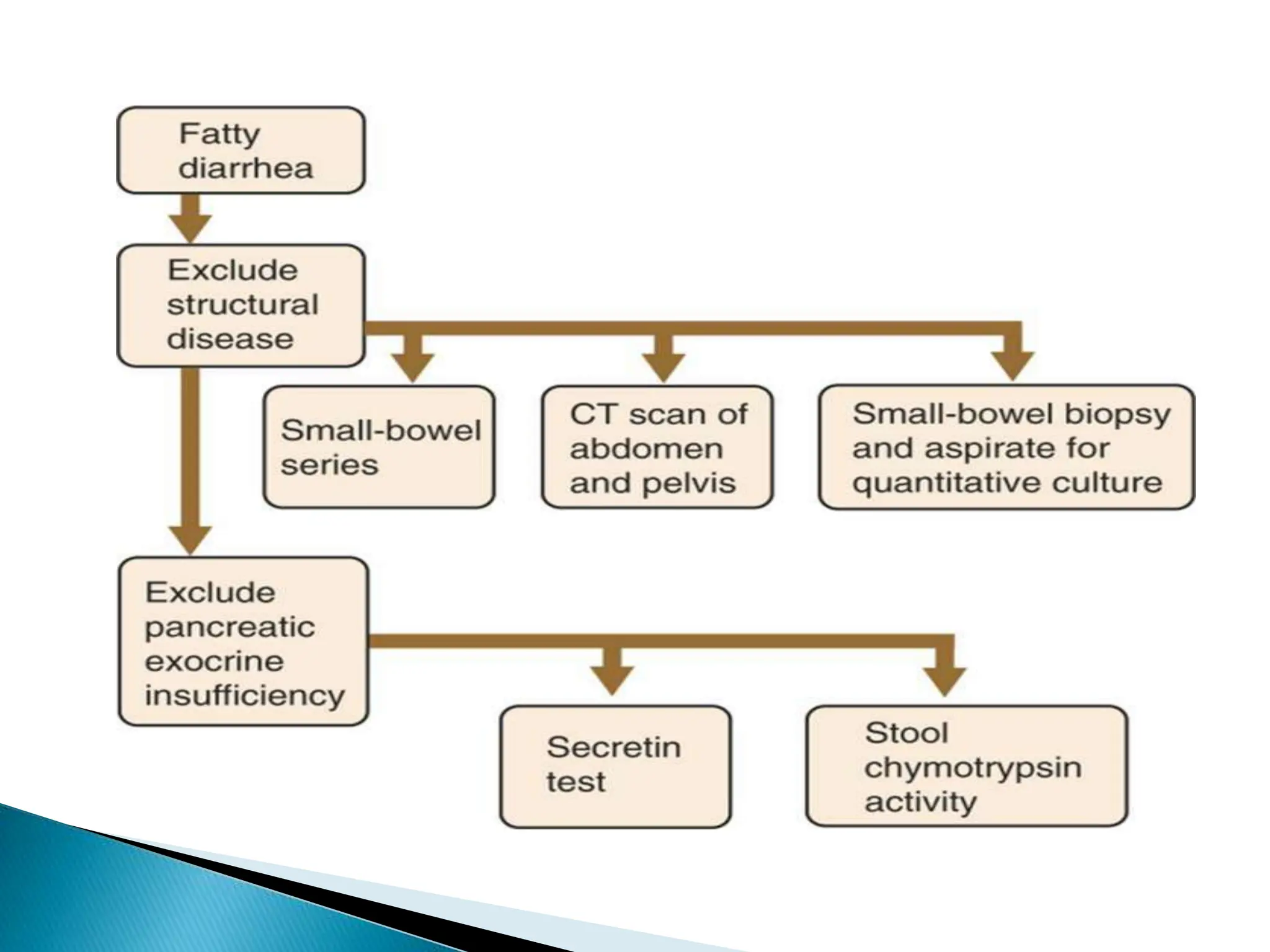 Approach to diarrhea 3rd yr mbbs ppt.pptx | Digestive Disorders ...