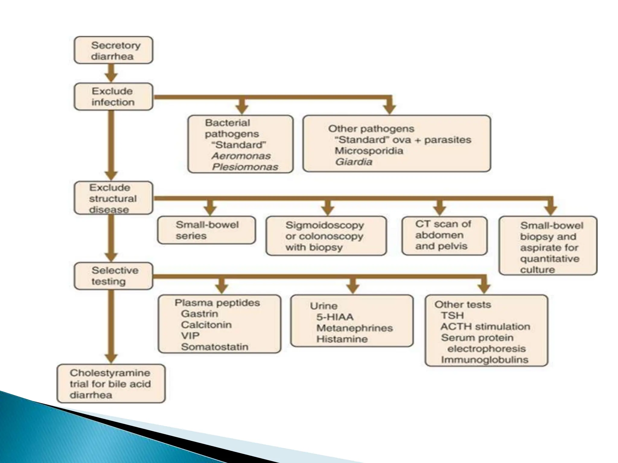 Approach to diarrhea 3rd yr mbbs ppt.pptx | Digestive Disorders ...