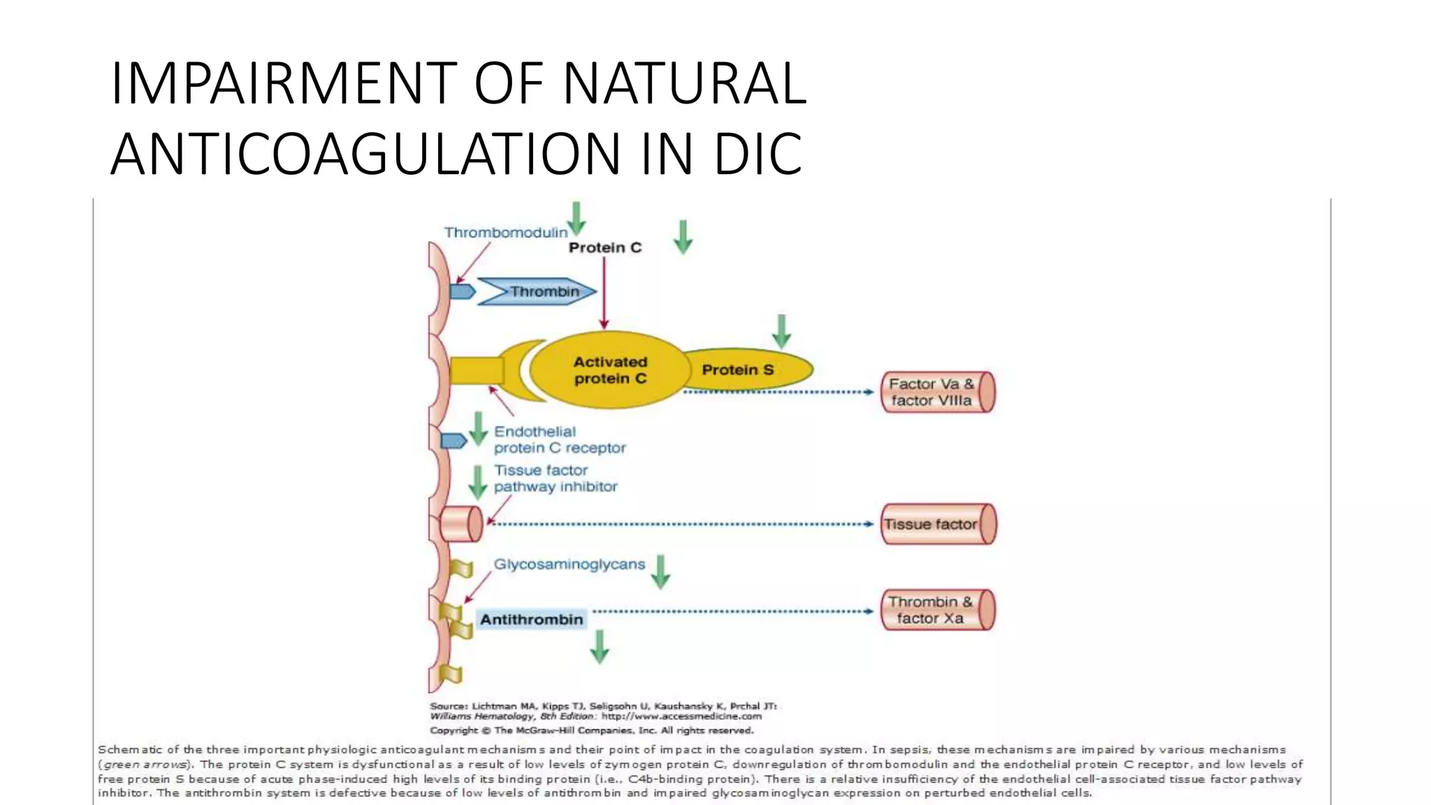 Approach to DIC | PPTX