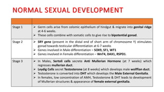 APPROACH TO DSD.pptx