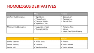 APPROACH TO DSD.pptx