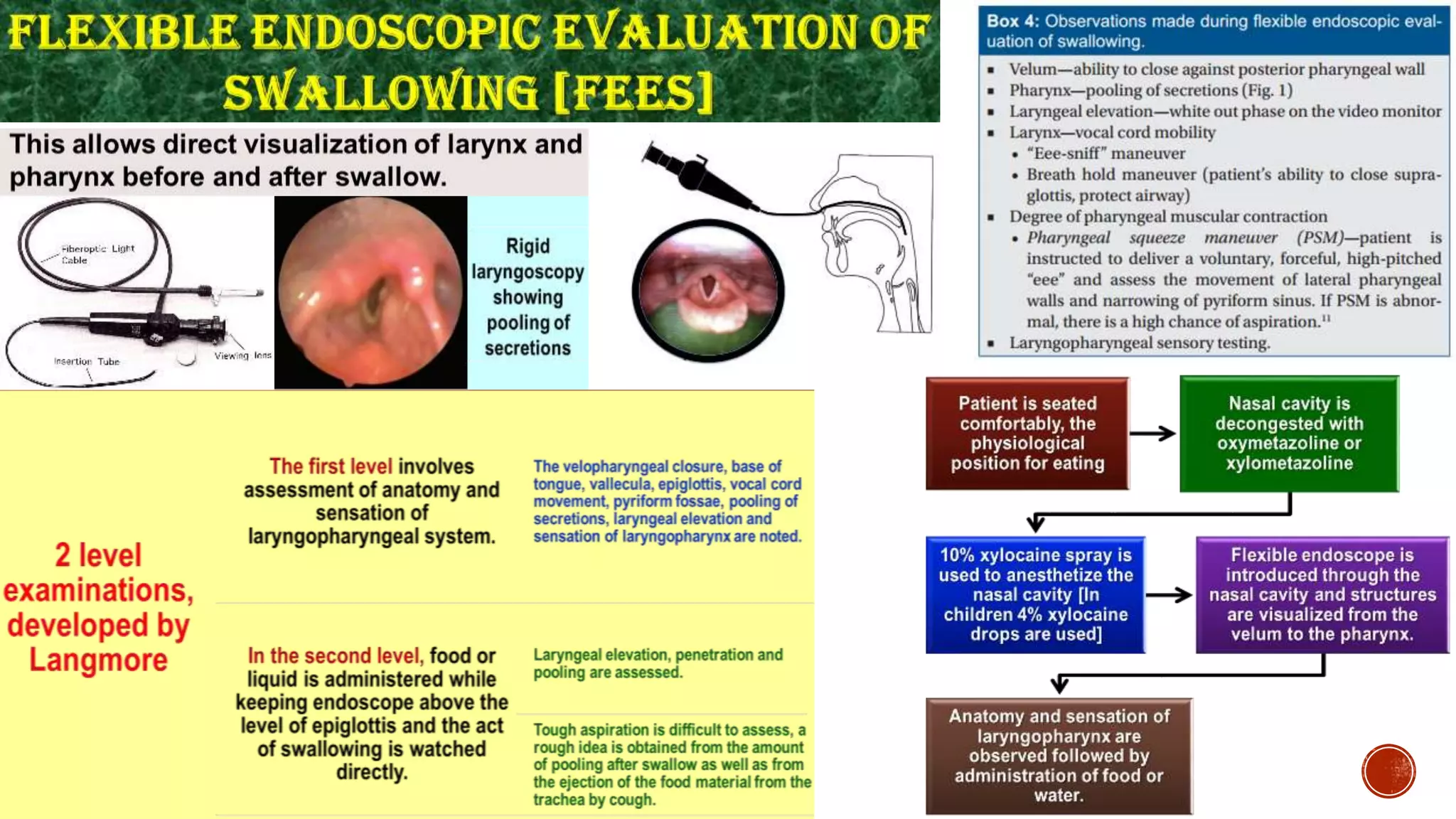Approach to dysphagia in adults | PPTX