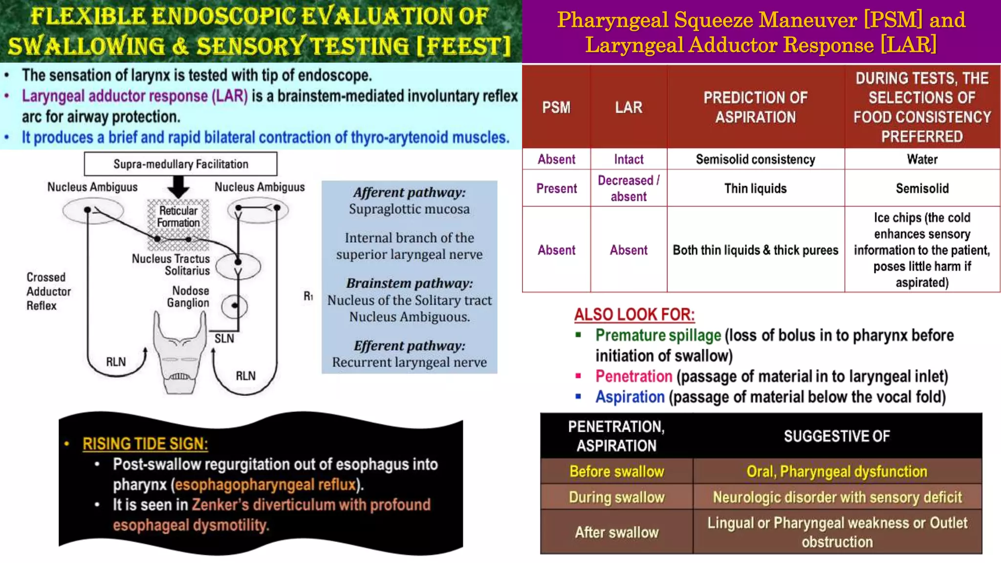 Approach to dysphagia in adults | PPTX