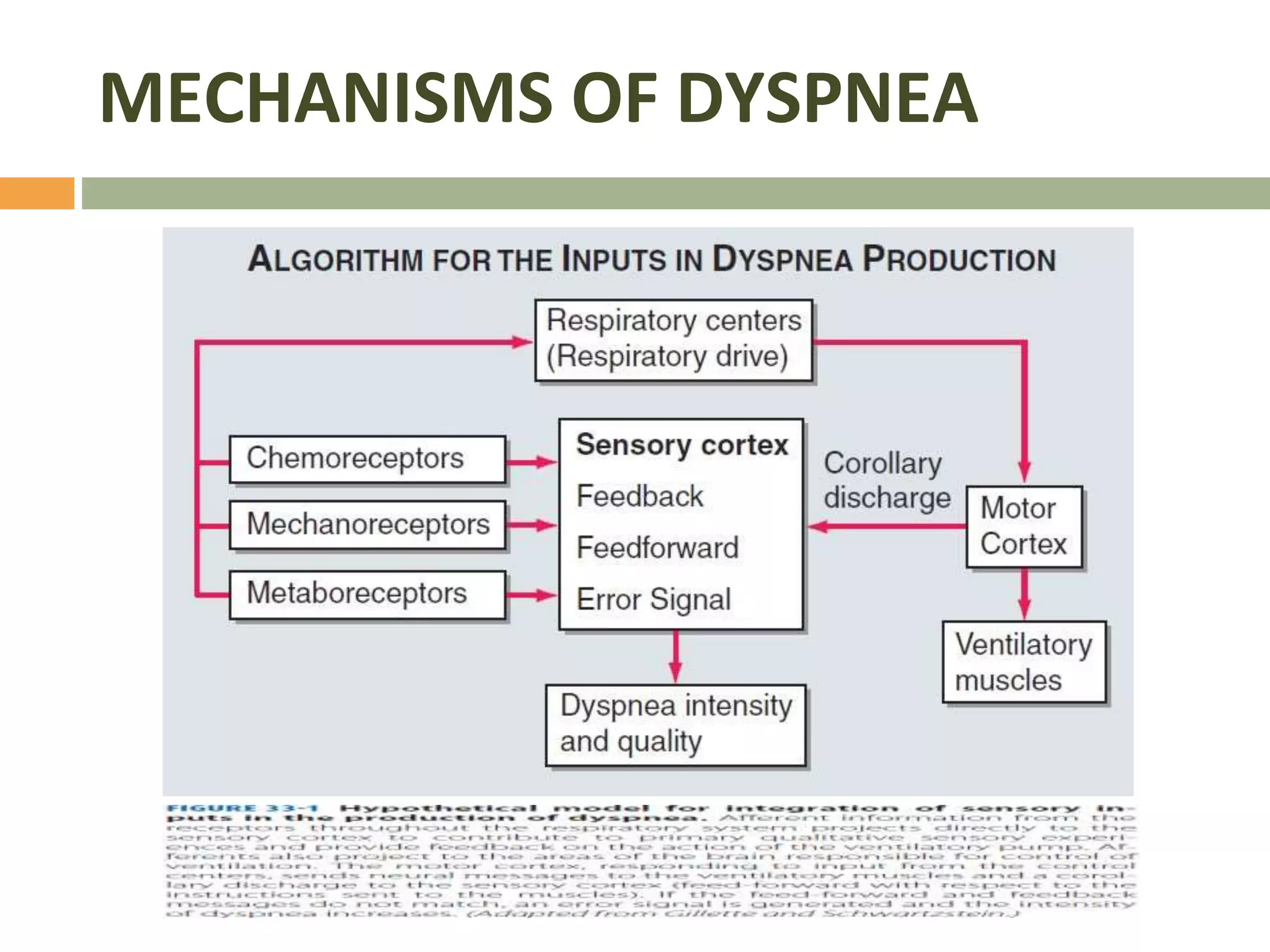 Approach to dyspnea dr bikal | PPTX