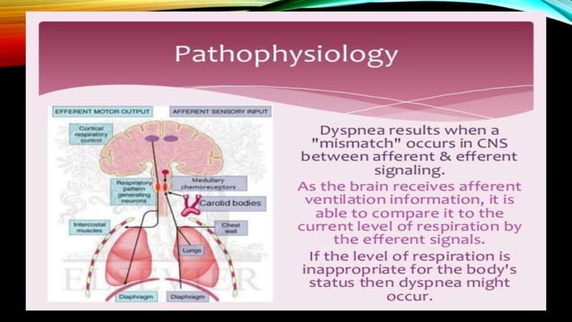 Approach to dyspnoea