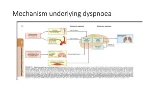 approach to dyspnoea / shortness of breath | PPTX