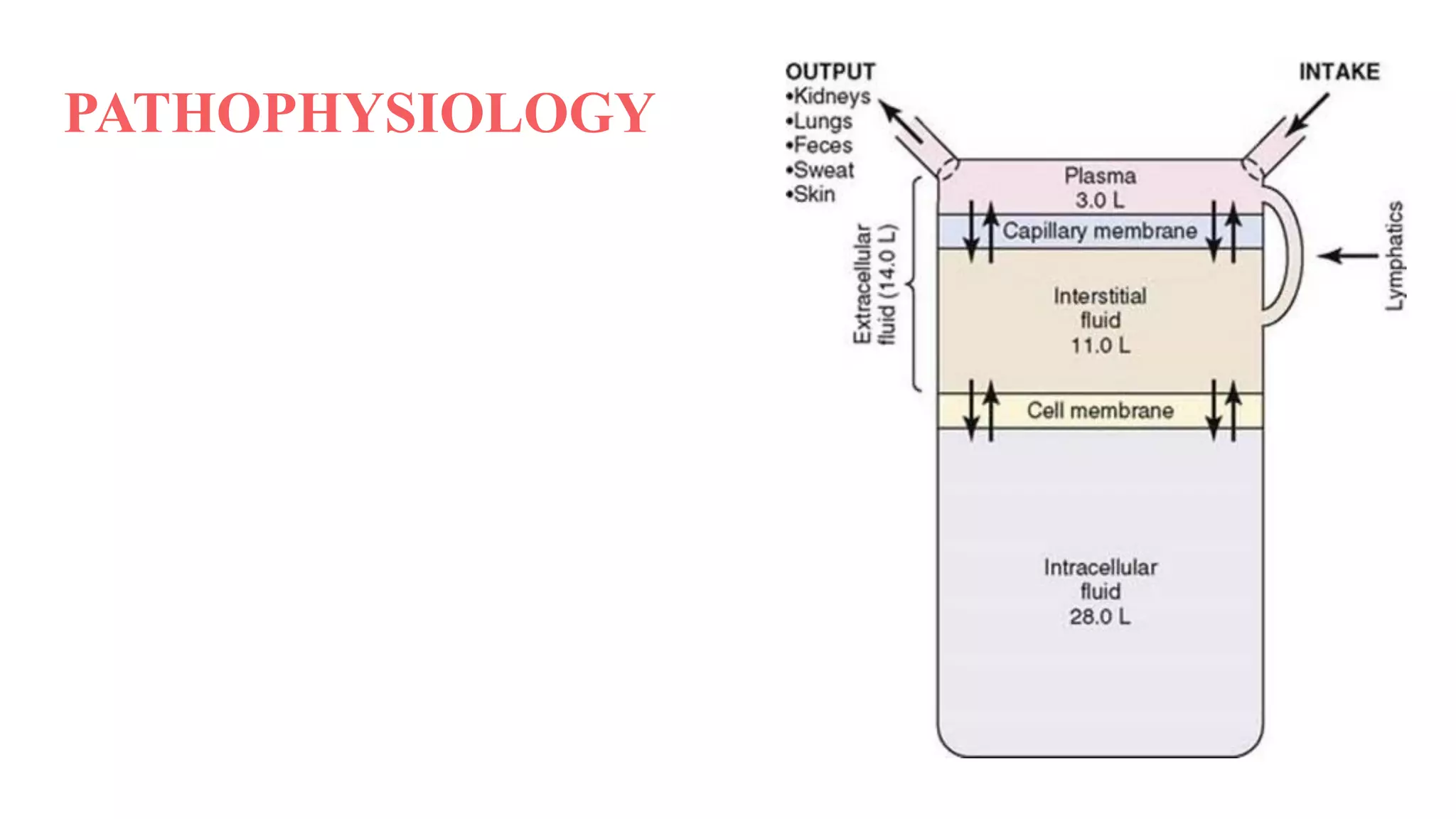 Approach to Edema in Paediatrics. | PDF