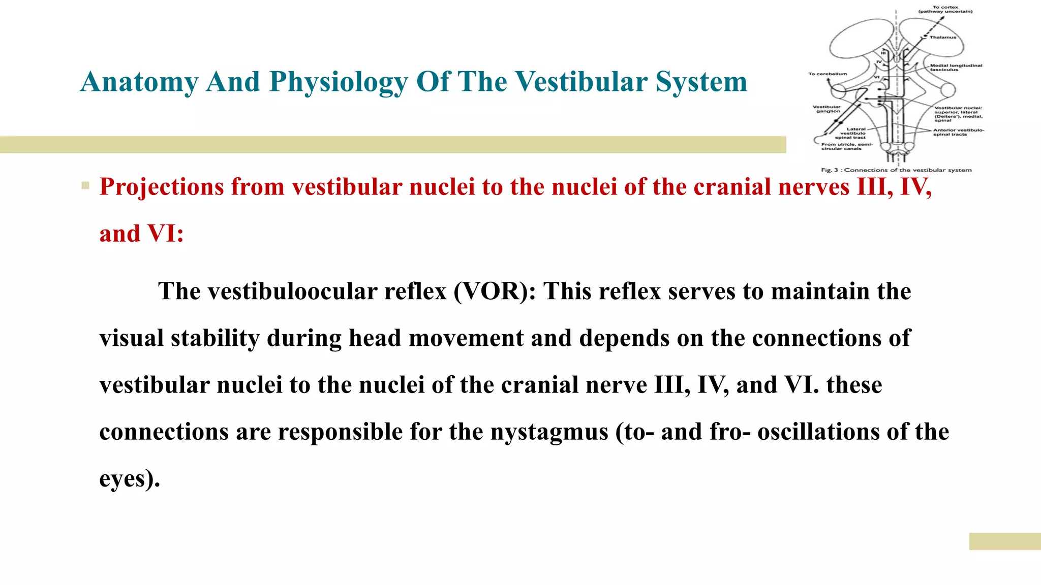 Approach to evaluation and management of acute vertigo | PPTX