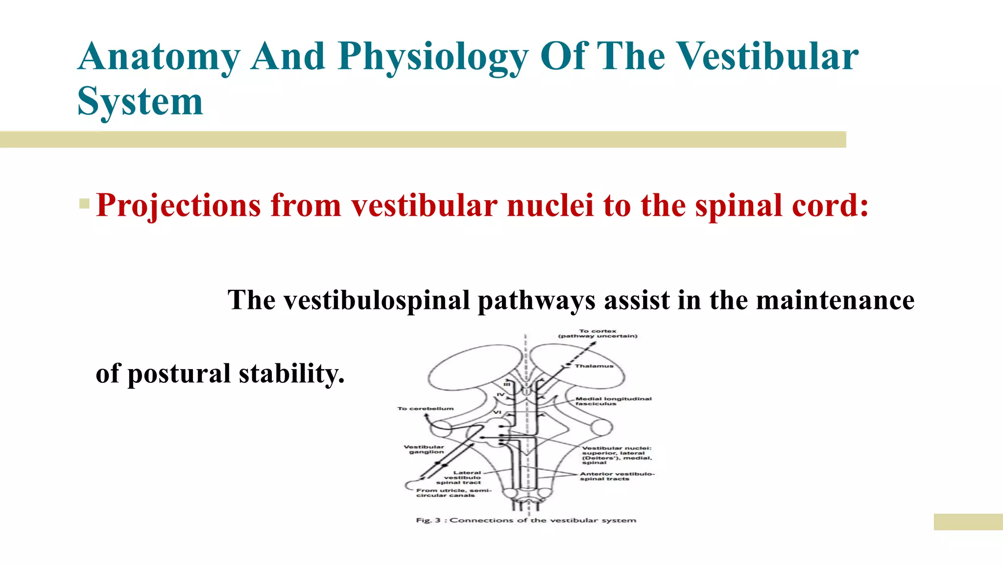 Approach to evaluation and management of acute vertigo | PPTX