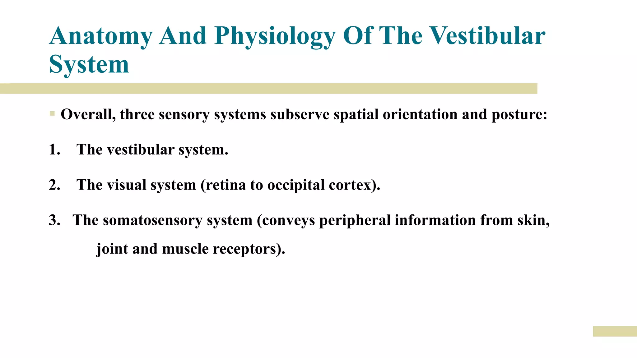 Approach to evaluation and management of acute vertigo | PPTX