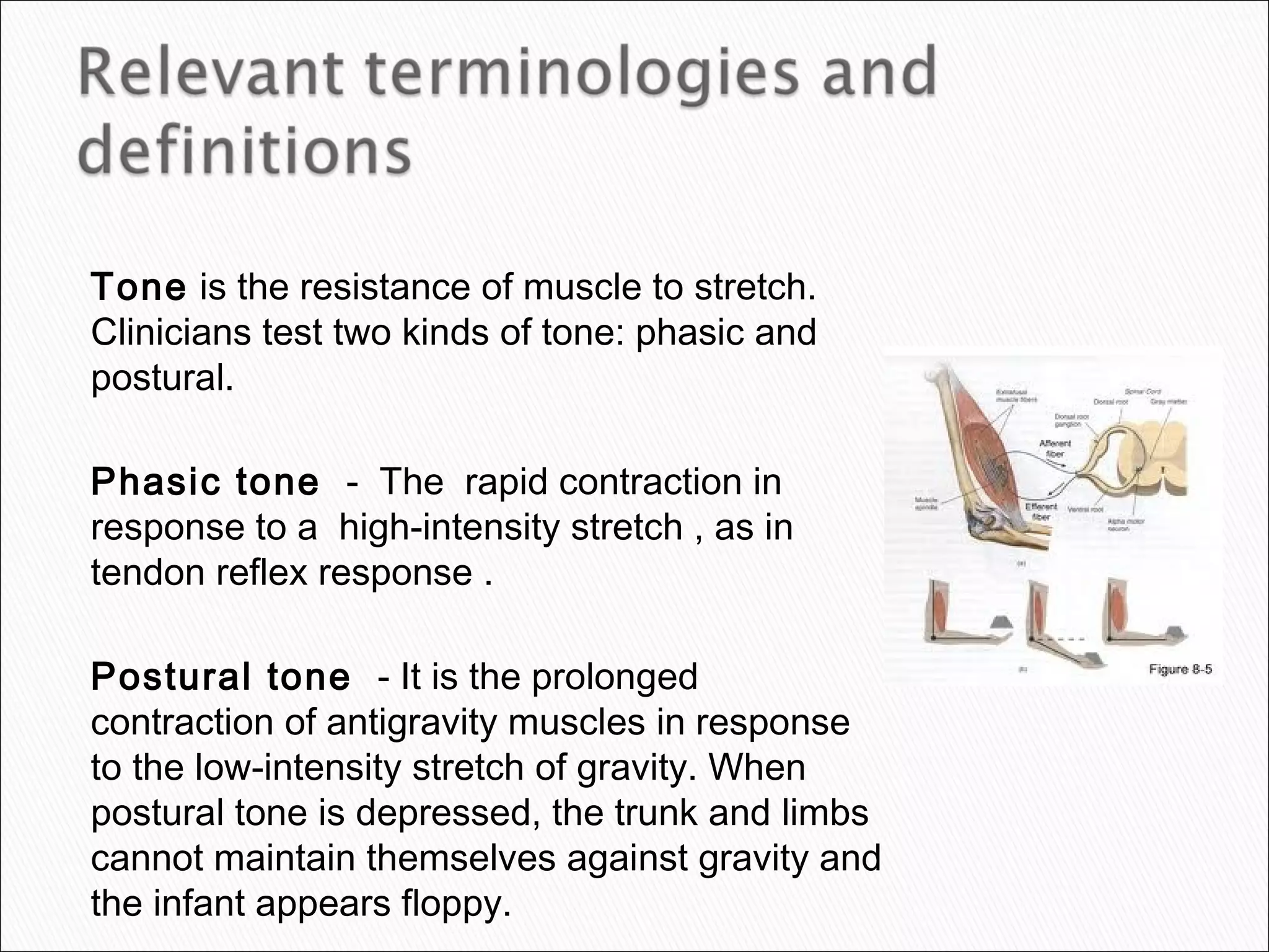 Approach to floppy infant ppt | PPT