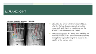Approach to foot x ray.pdf
