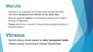 Approach to fundus camera- Reading and interpretation 2.pptx