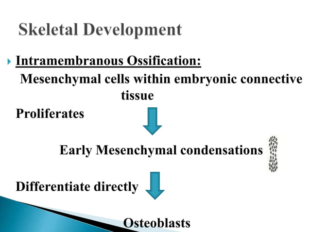 Approach to generalised increased bone density | PPTX | Bone and Joint ...