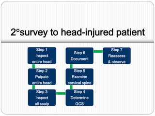 Approach to head injured patient | PDF