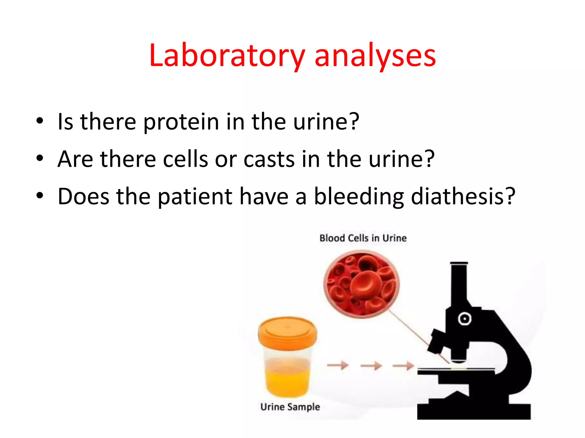 Approach to hematuria | PPTX