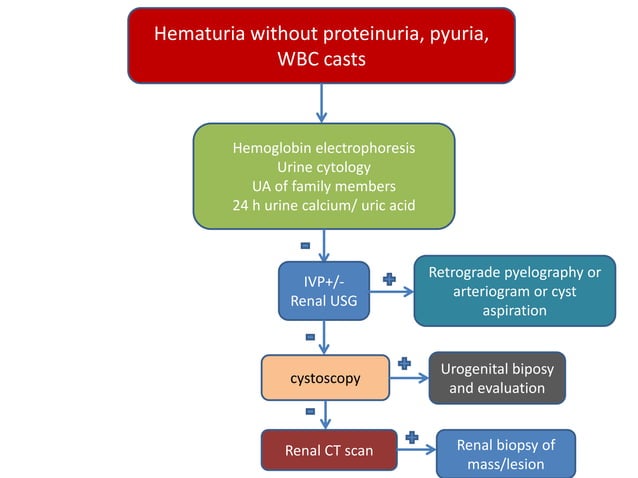 Approach to hematuria | PPTX