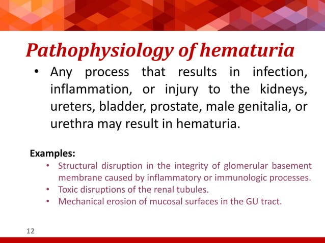 Approach to hematuria | PPTX | Blood Disorders | Diseases and Conditions