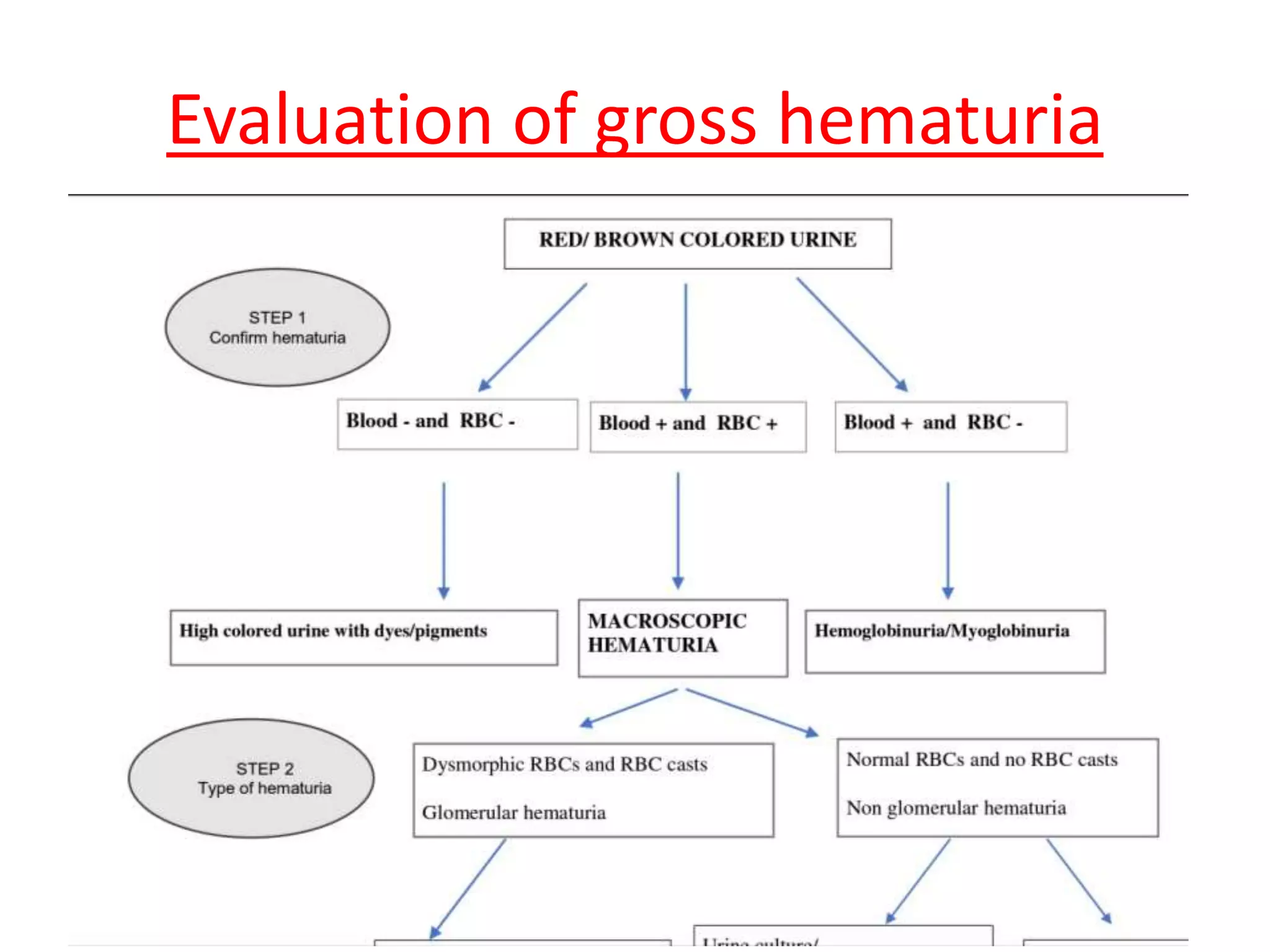 approach to hematuria in pediatrics.pptx | Blood Disorders | Diseases ...
