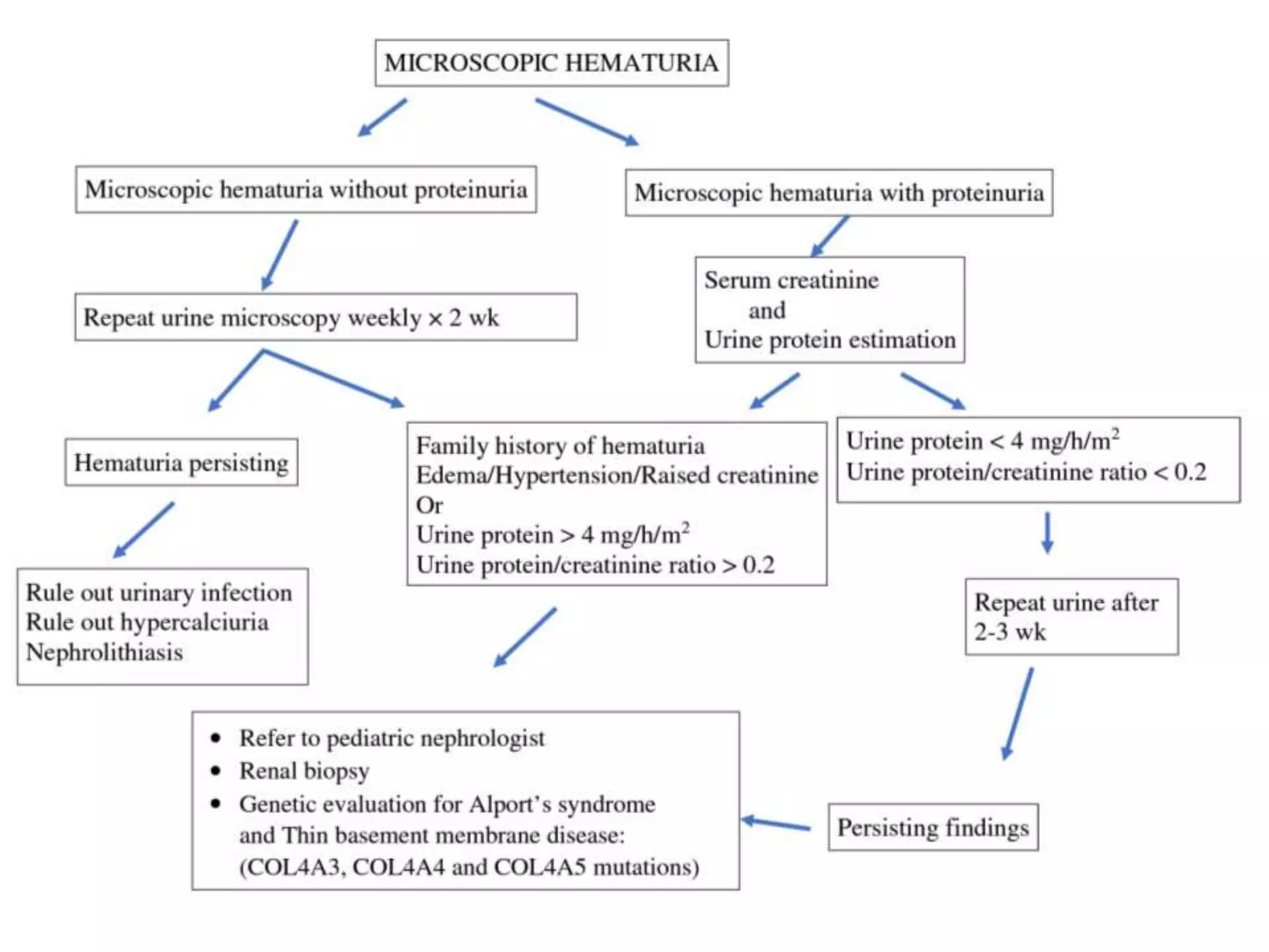 approach to hematuria in pediatrics.pptx