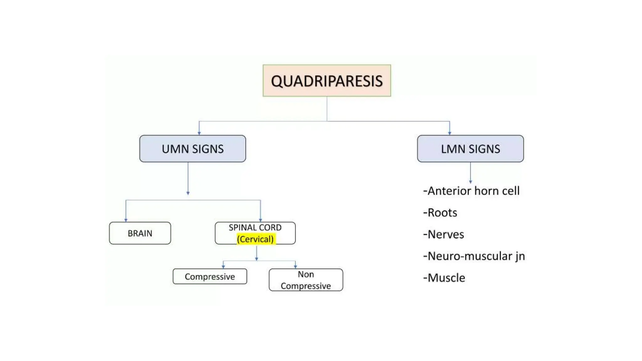 Approach to Hemi & Quadriparesis by Momen | PPT