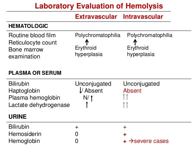 Approach to Hemolytic Anemia