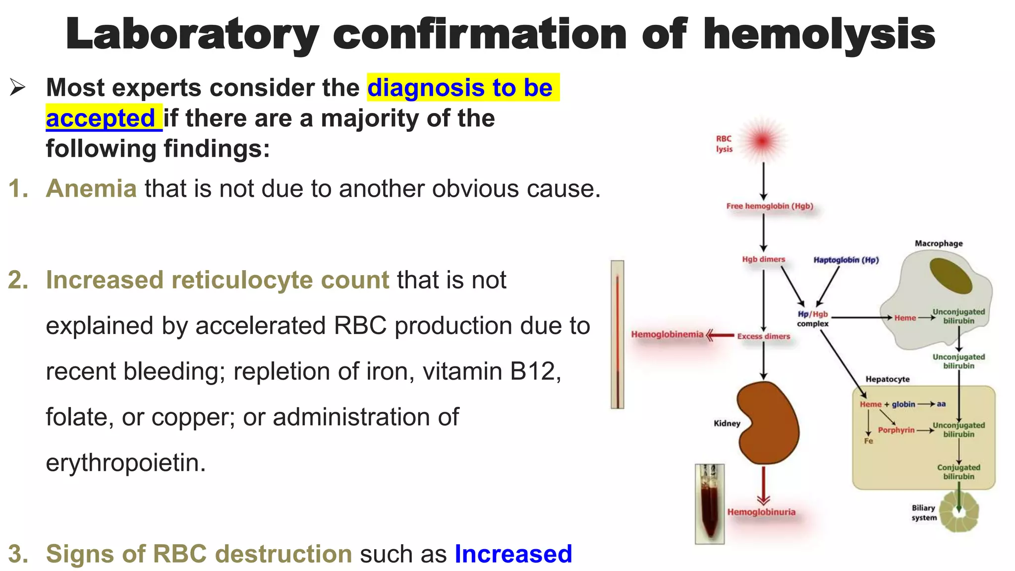 Diagnosis of hemolytic anemia | PPTX