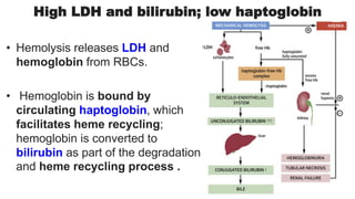 Diagnosis of hemolytic anemia | PPTX
