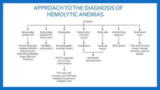 Approach to hemolytic anemias | PPTX
