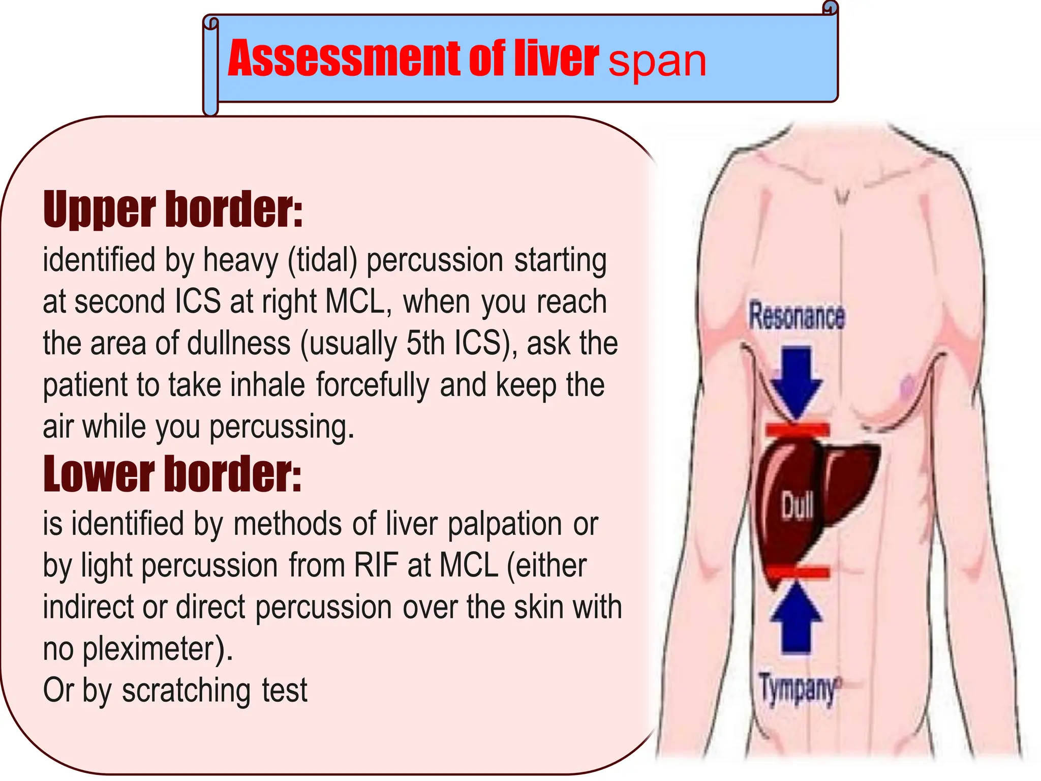 approach taking about hepatomegally .pptx