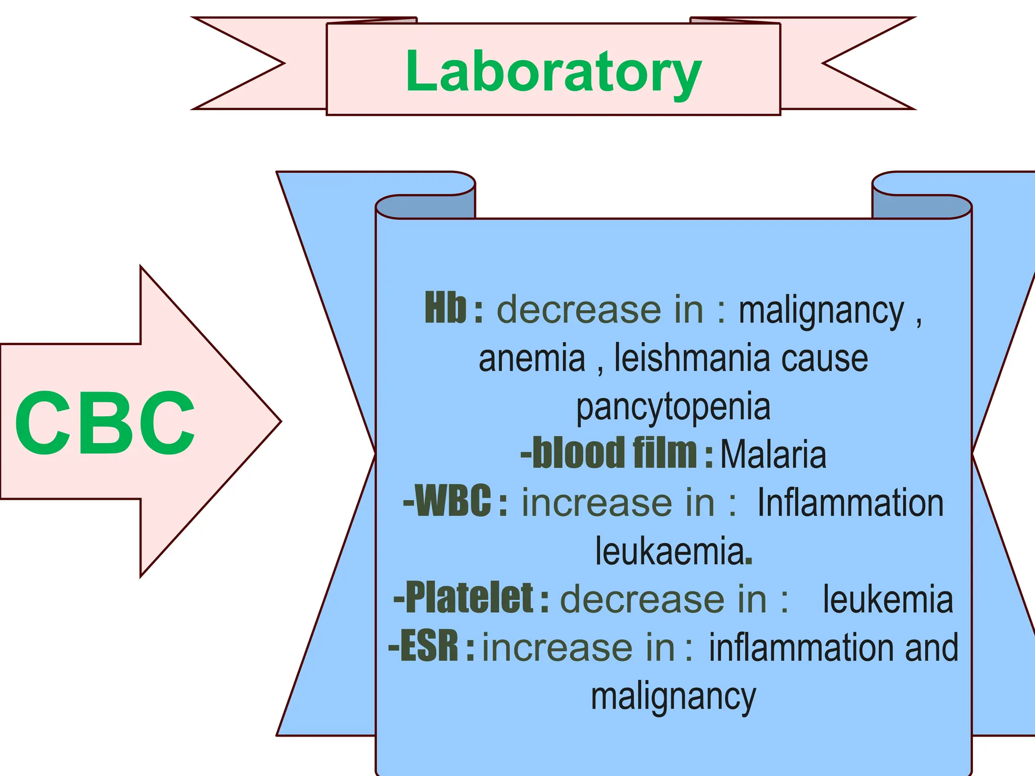 approach taking about hepatomegally .pptx